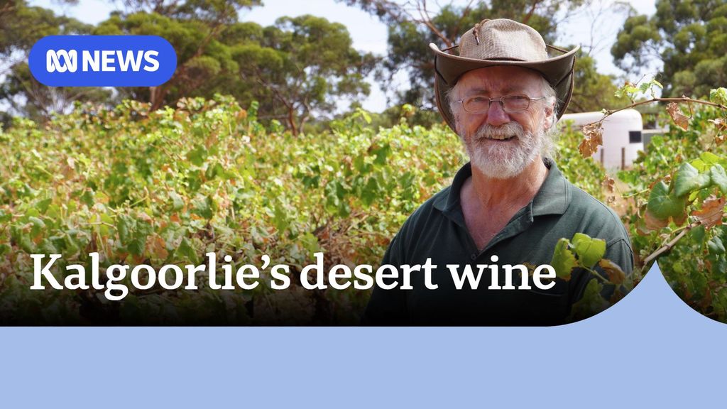 Meet the man who makes dessert wine in the WA desert - ABC News