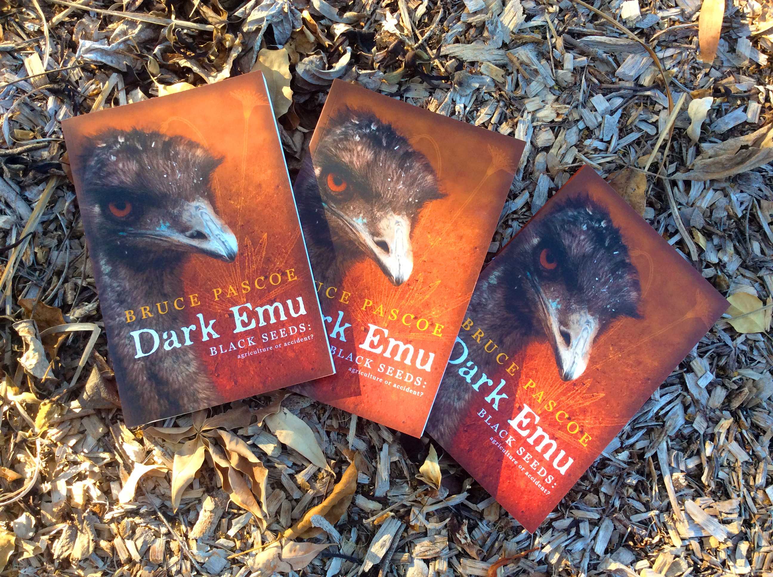 Speaking out - ABC listen