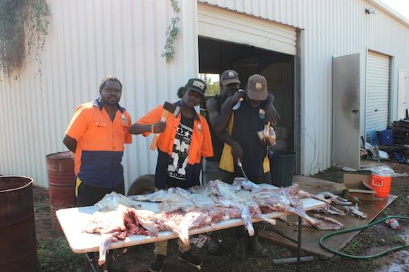 Indigenous community of Warruwi adds wild goat meat to centenary ...