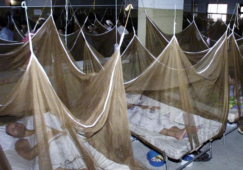 Malaria kills 627,000 people in 2012, with estimated 207 million cases ...