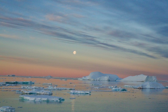 Tamblyn Lord went to Antarctica in pursuit of his childhood hero - ABC ...