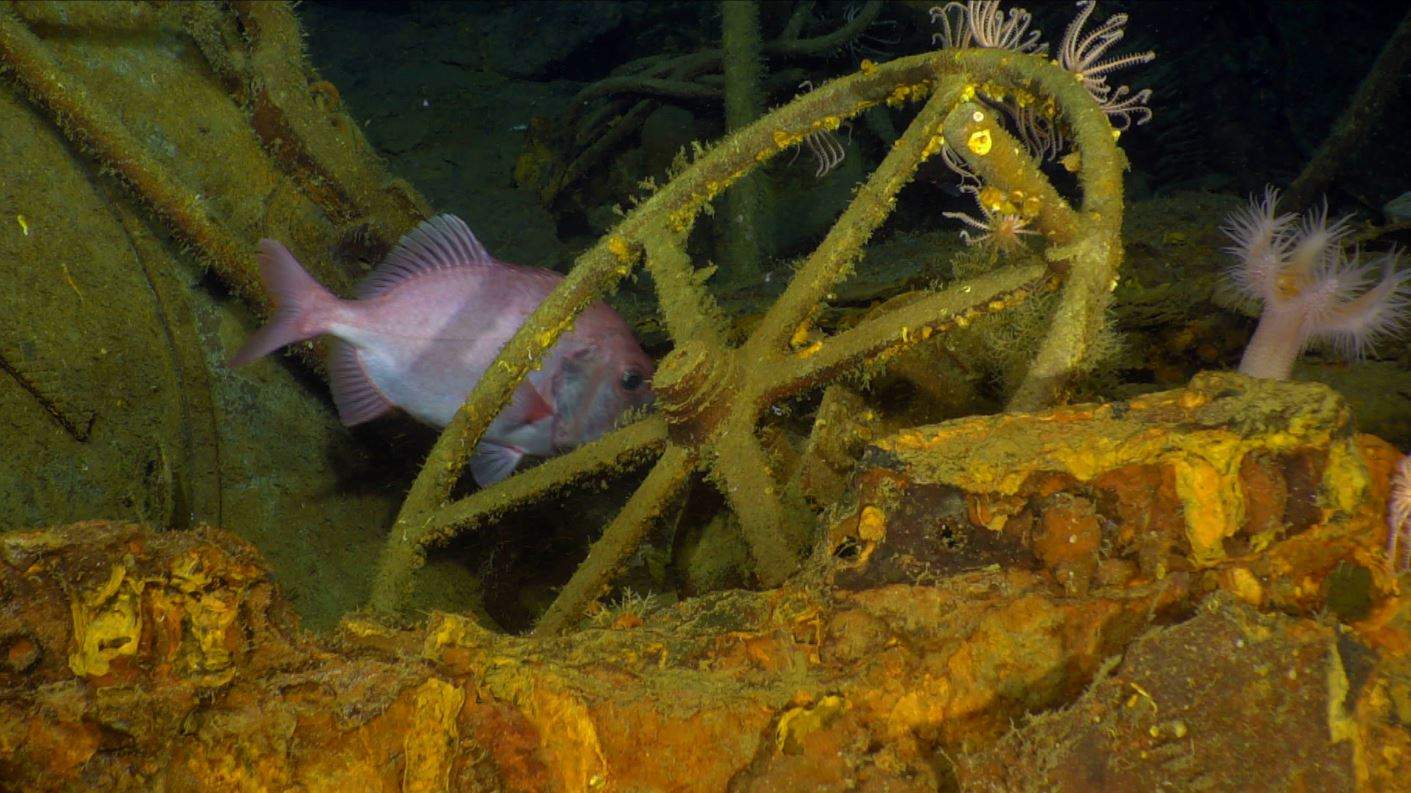 Pictures of Australian WWI submarine wreck may shed new light on how it ...