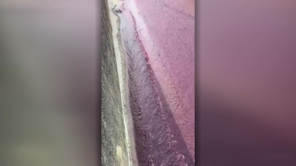 Millions of litres of wine streams through Portuguese village - ABC News