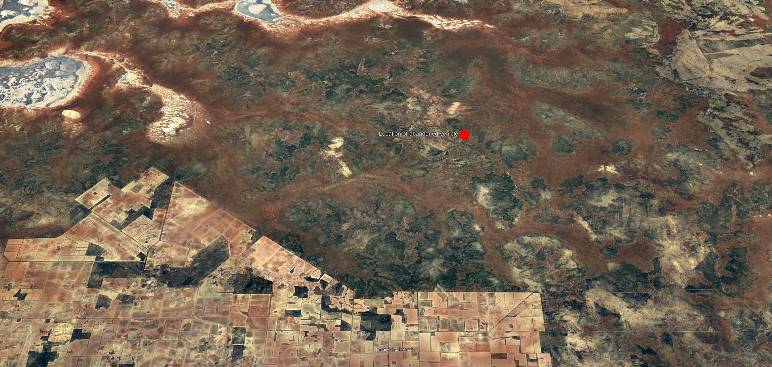 German backpacker Carolina Wilga found alive in WA's outback - ABC News