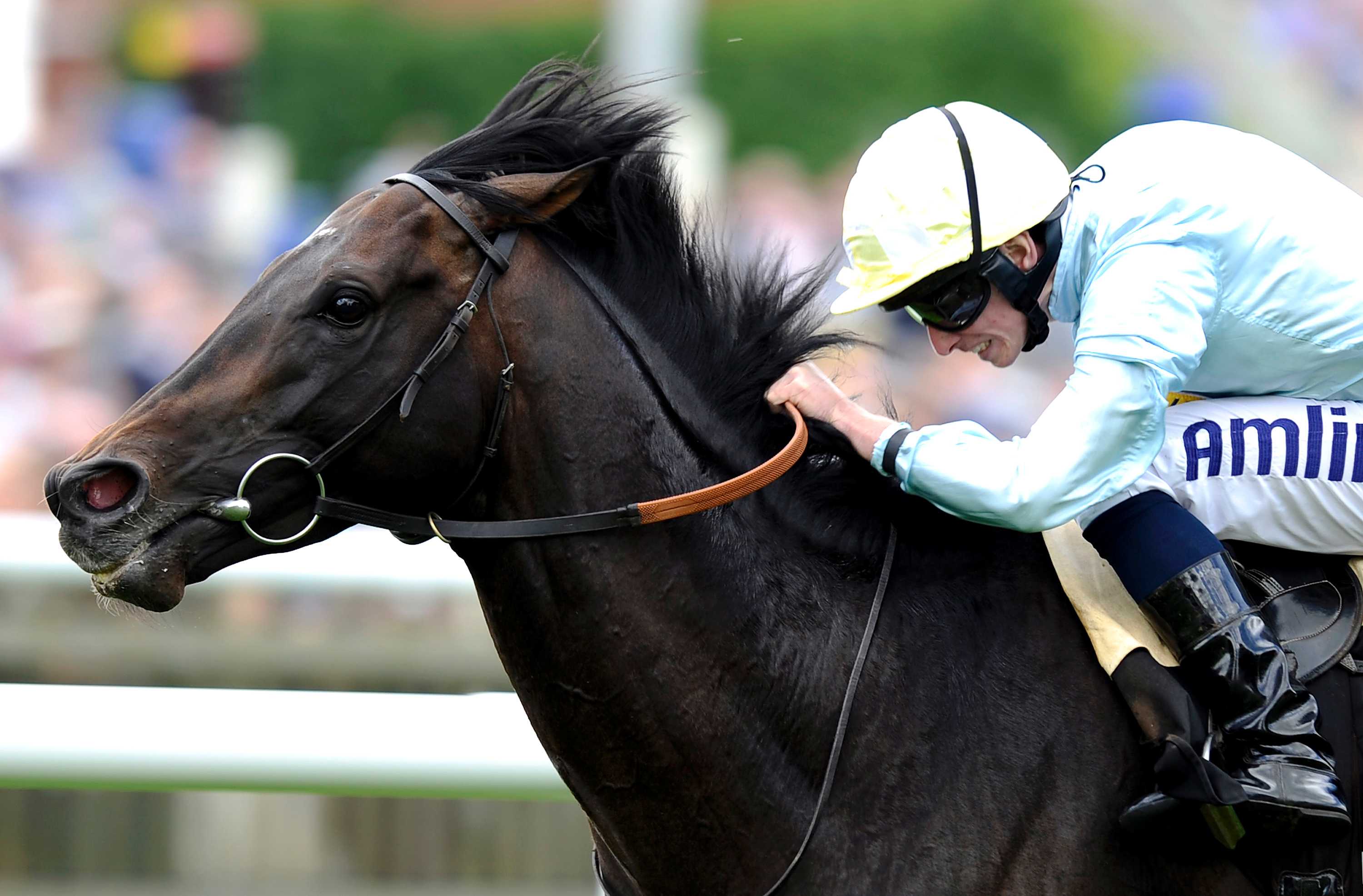 11. FIORENTE - ABC News
