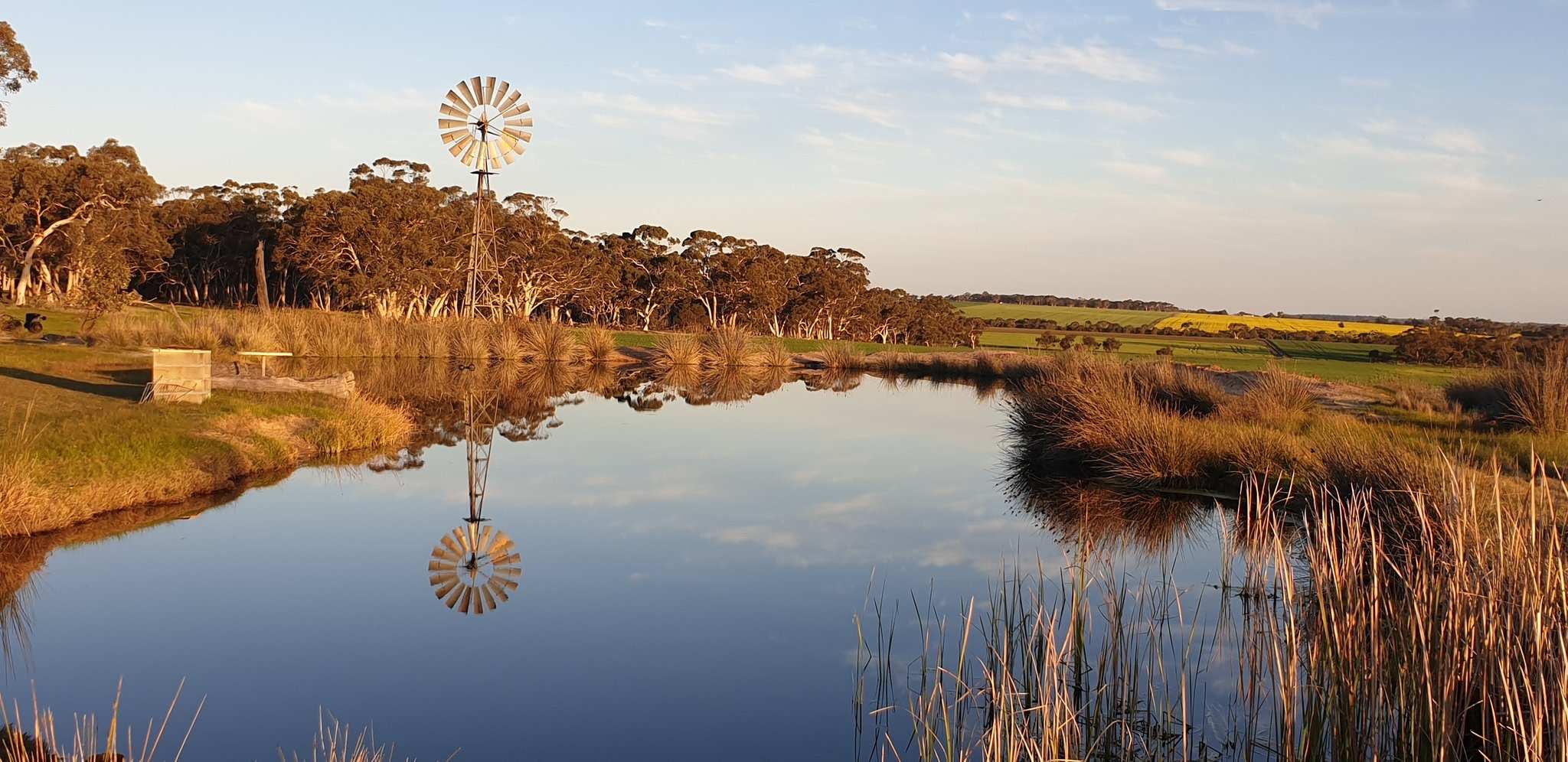 American cross-legged Stover windmill found in Queensland farm shed is ...