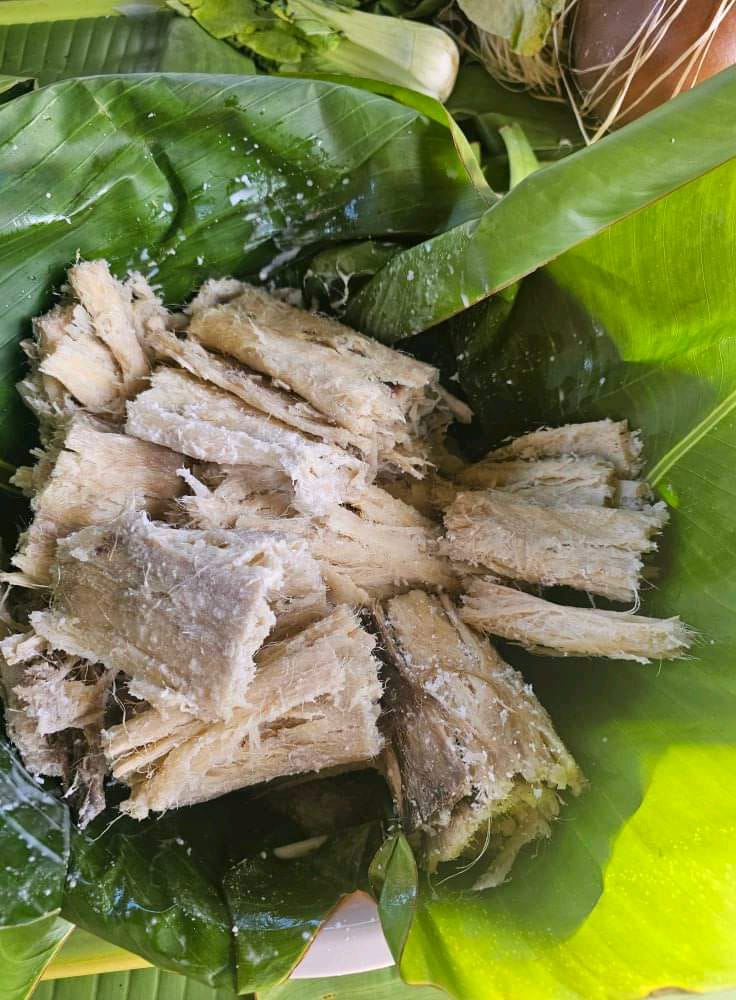 Vanuatu resident explains the wild-growing versatile vine that can be ...