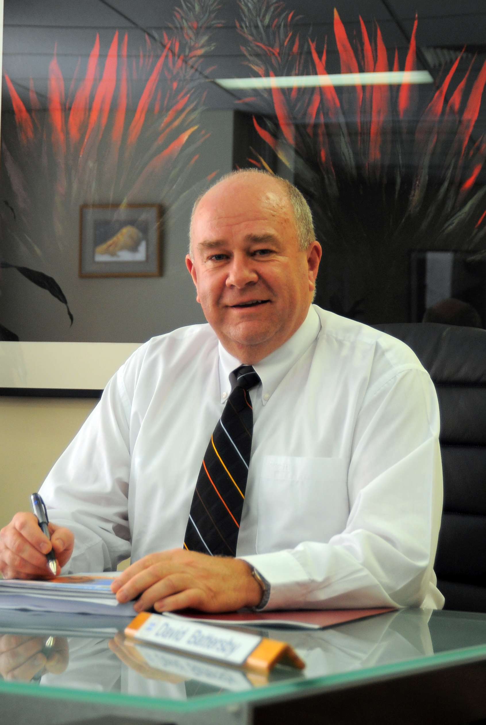 Professor David Battersby - ABC News