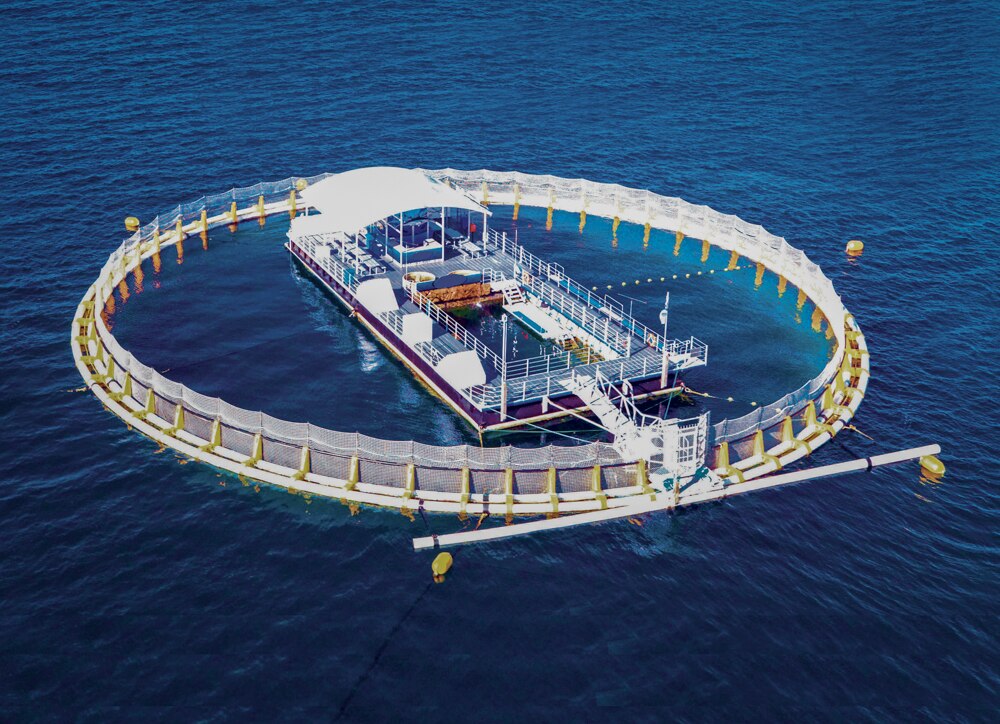 Swim-with-tuna aquarium enclosure arrives at Victor Harbor, open by end ...