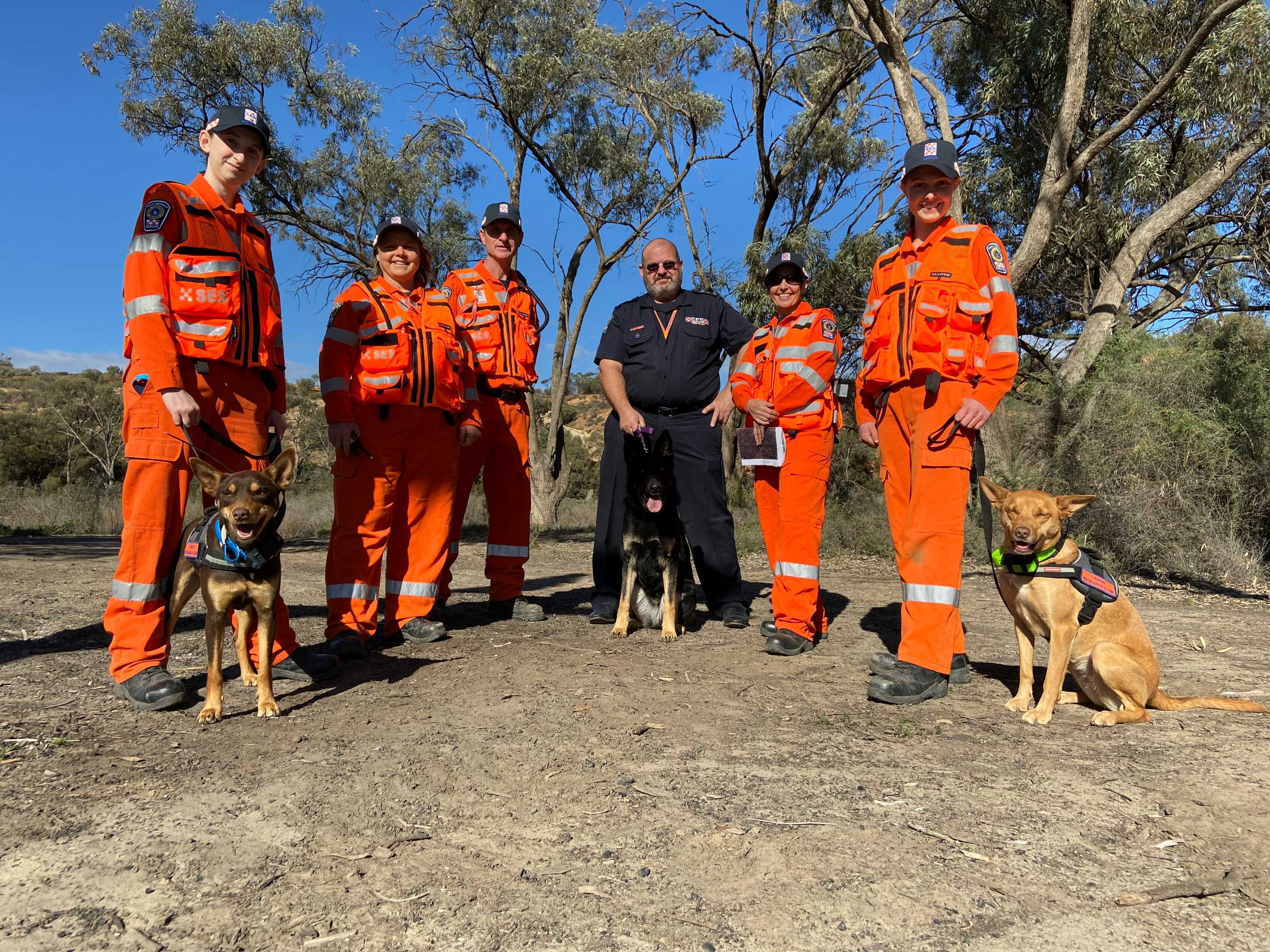 SES canine search team finds success as kelpie-training recruits named ...