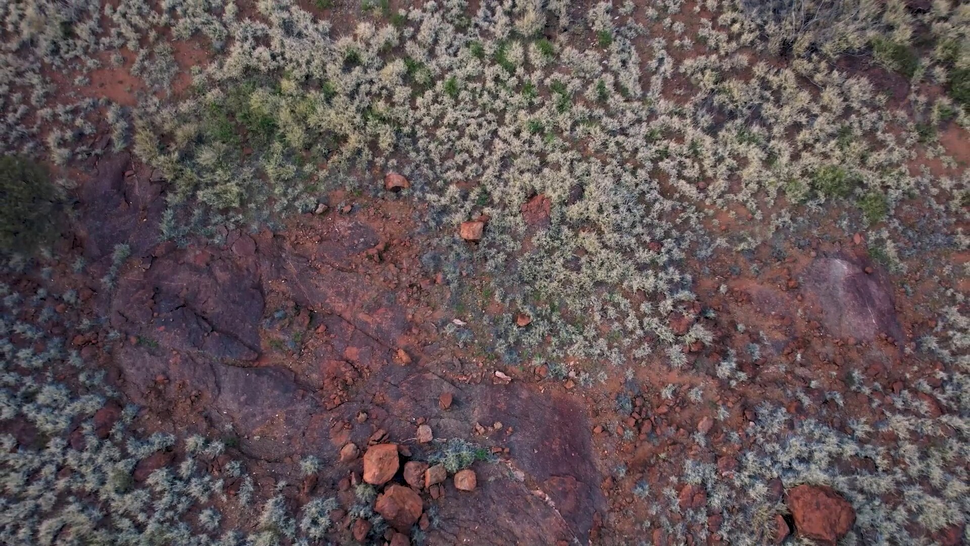 The landscape of the Tanami desert - ABC News
