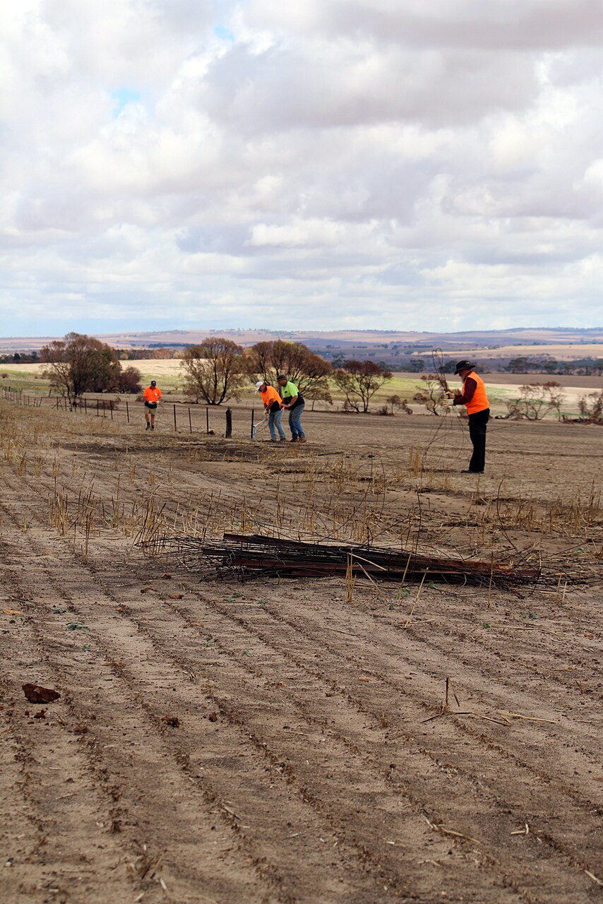 BlazeAid volunteers rebuild fences after Pinery bushfire - ABC News