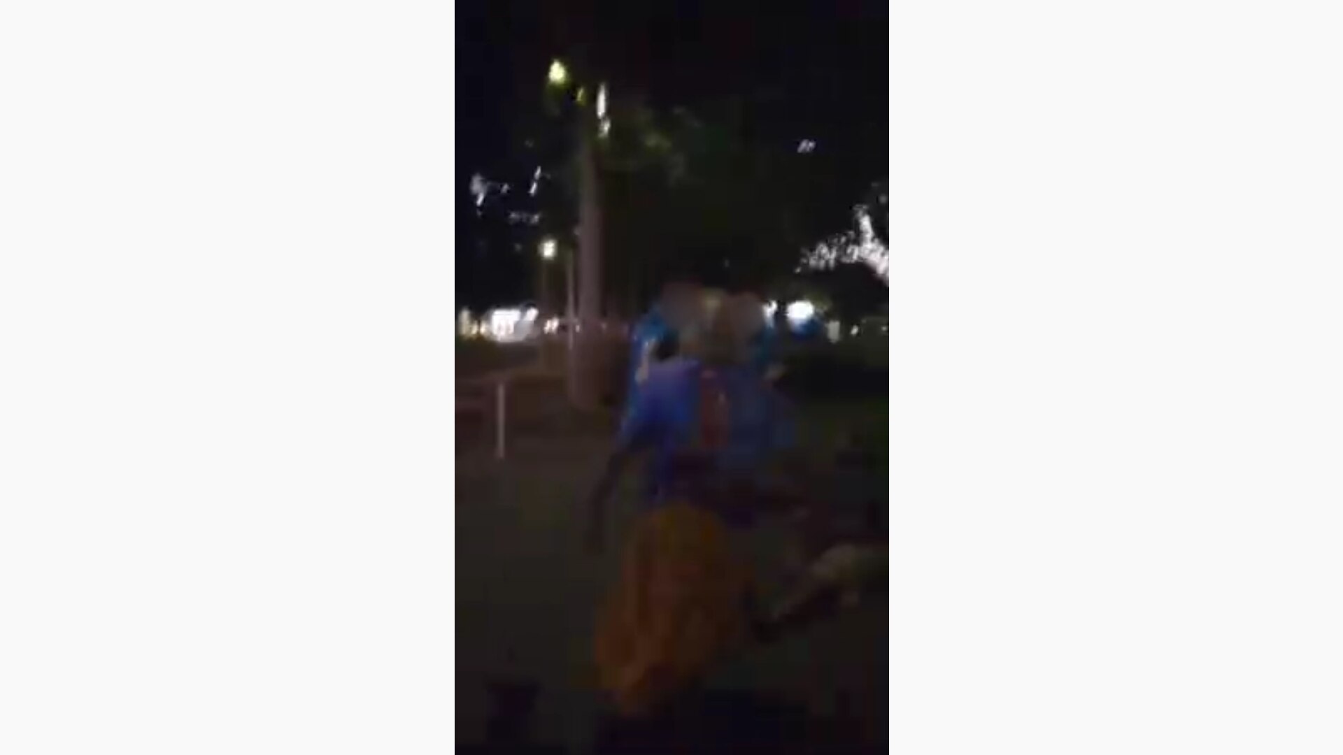 The elderly woman is dragged by security guards. - ABC News