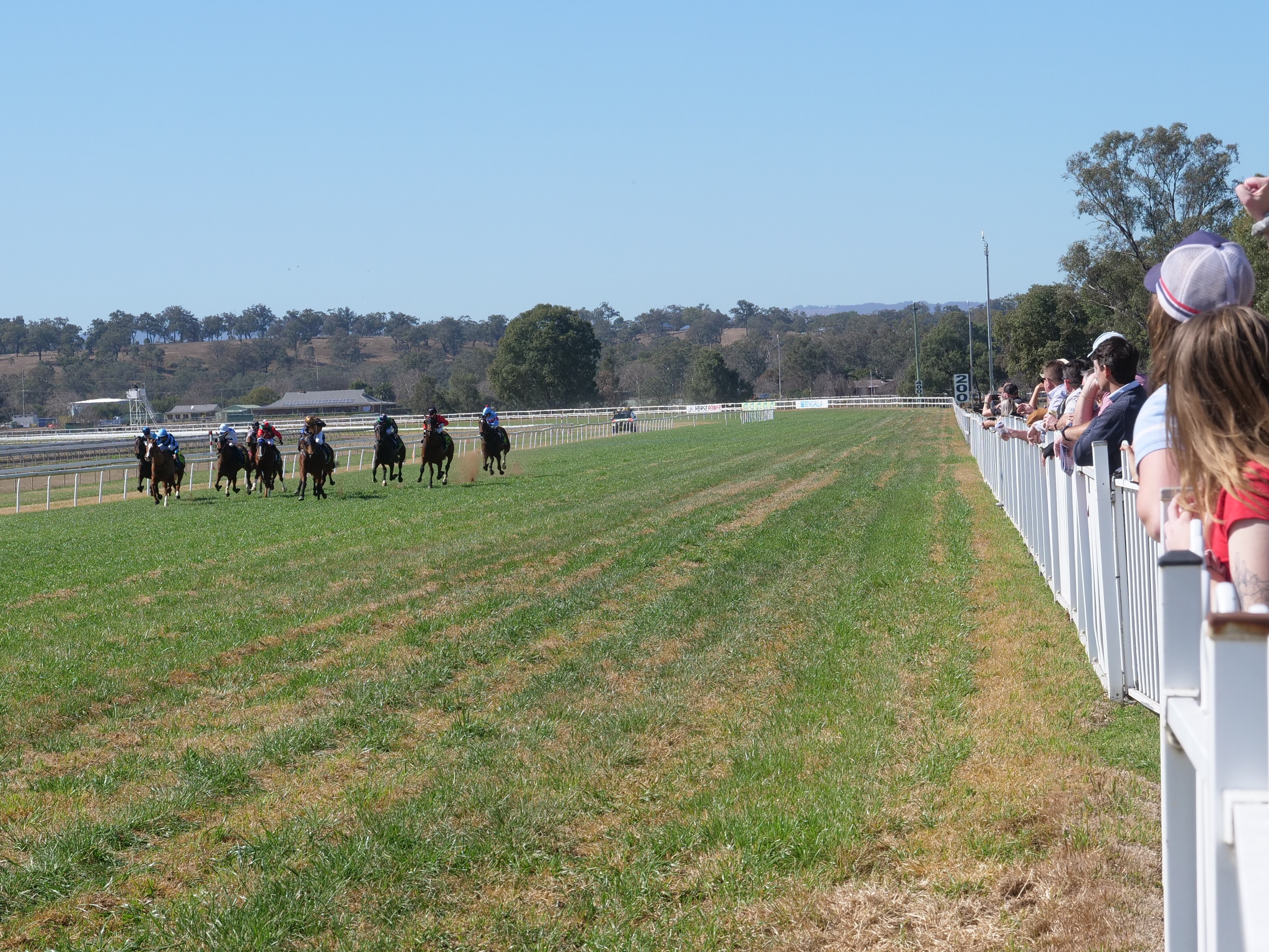 Hunter Valley horse trainer Brett Cavanough seals 1,000 wins in runaway ...