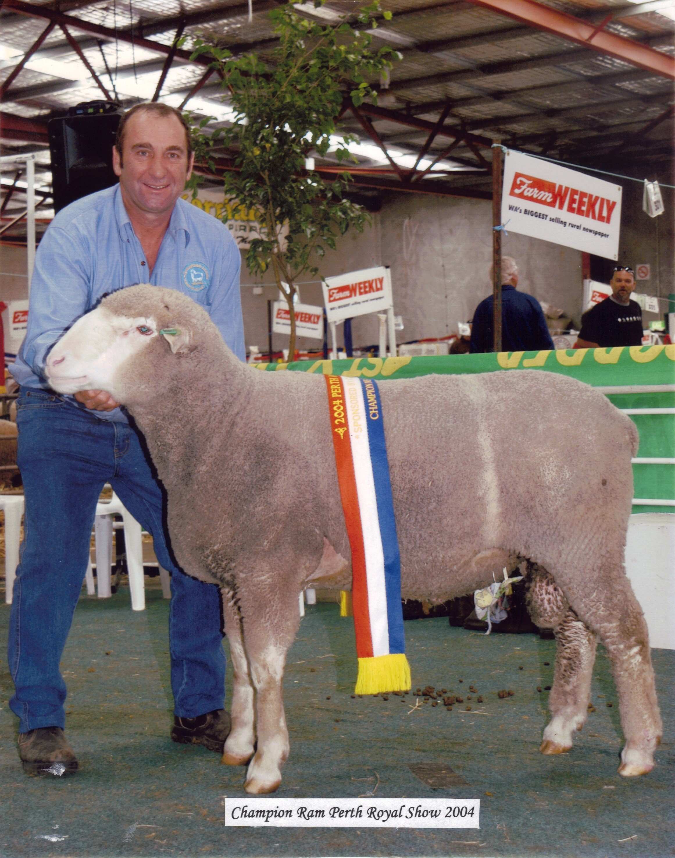 Tributes flow for legendary Gracefield SAMM Stud sheep breeder and ...