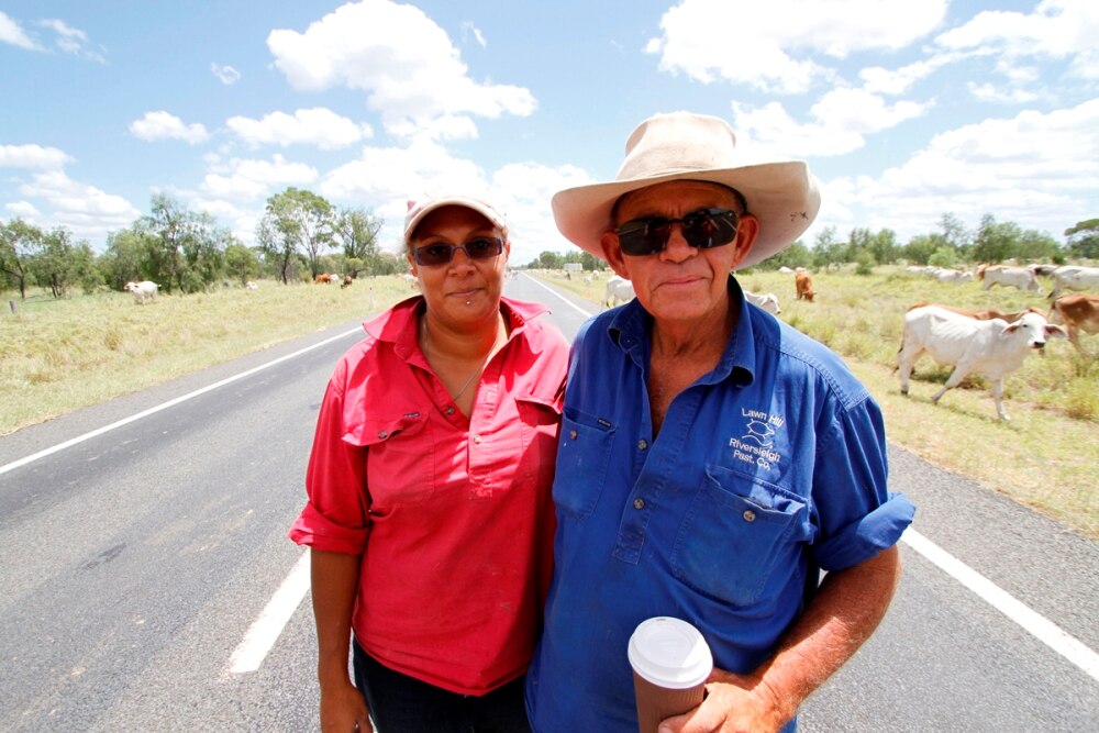 Scattered rain creates hope for drovers - ABC News
