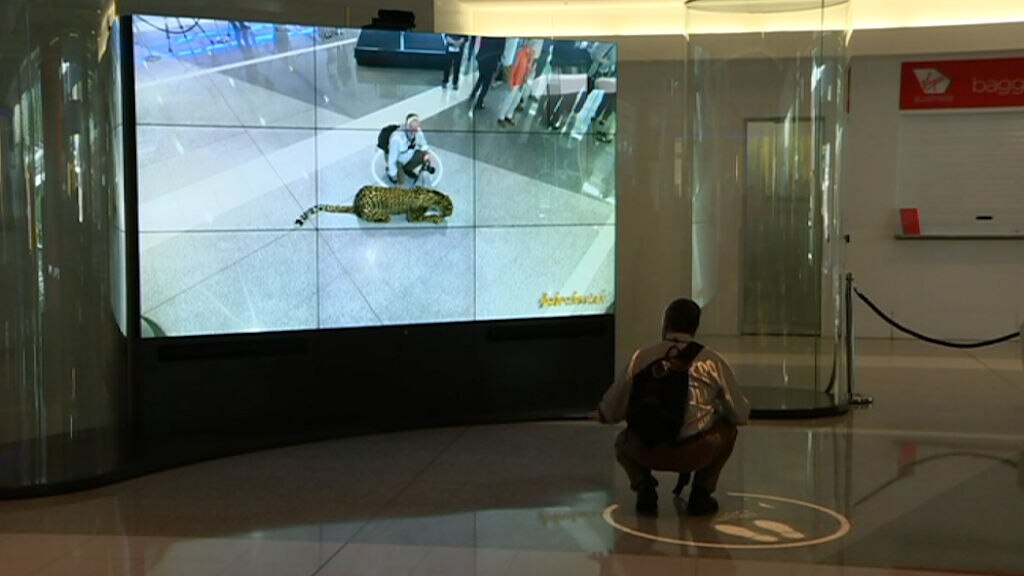 Augmented reality billboard at Canberra Airport invites visitors to pat ...