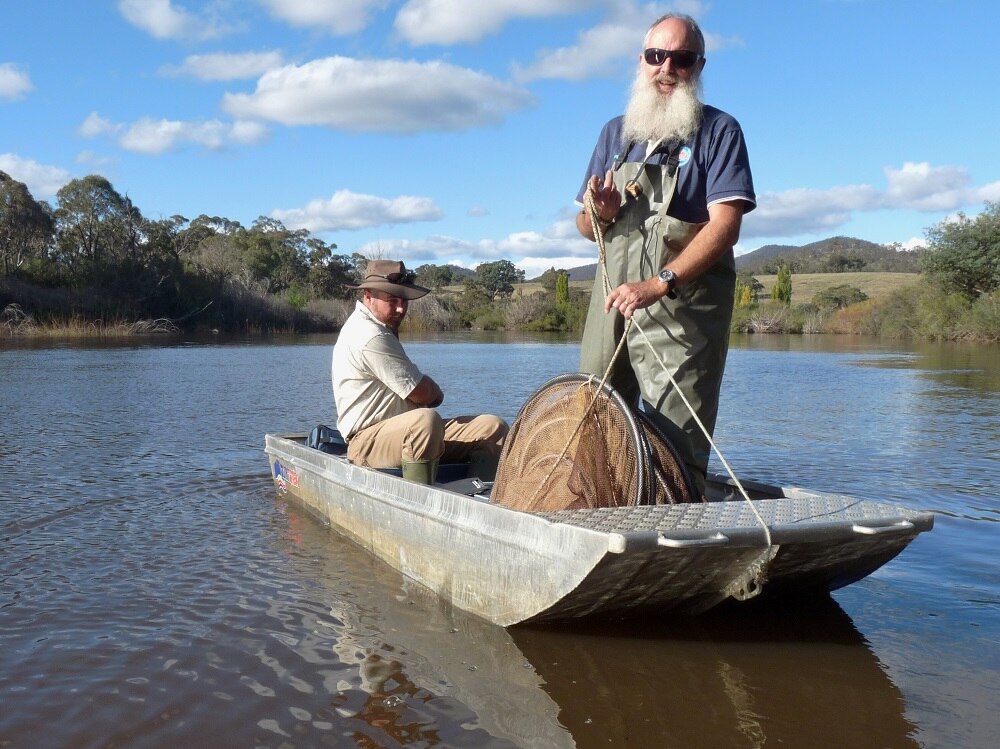 A tale of two fish - ABC listen