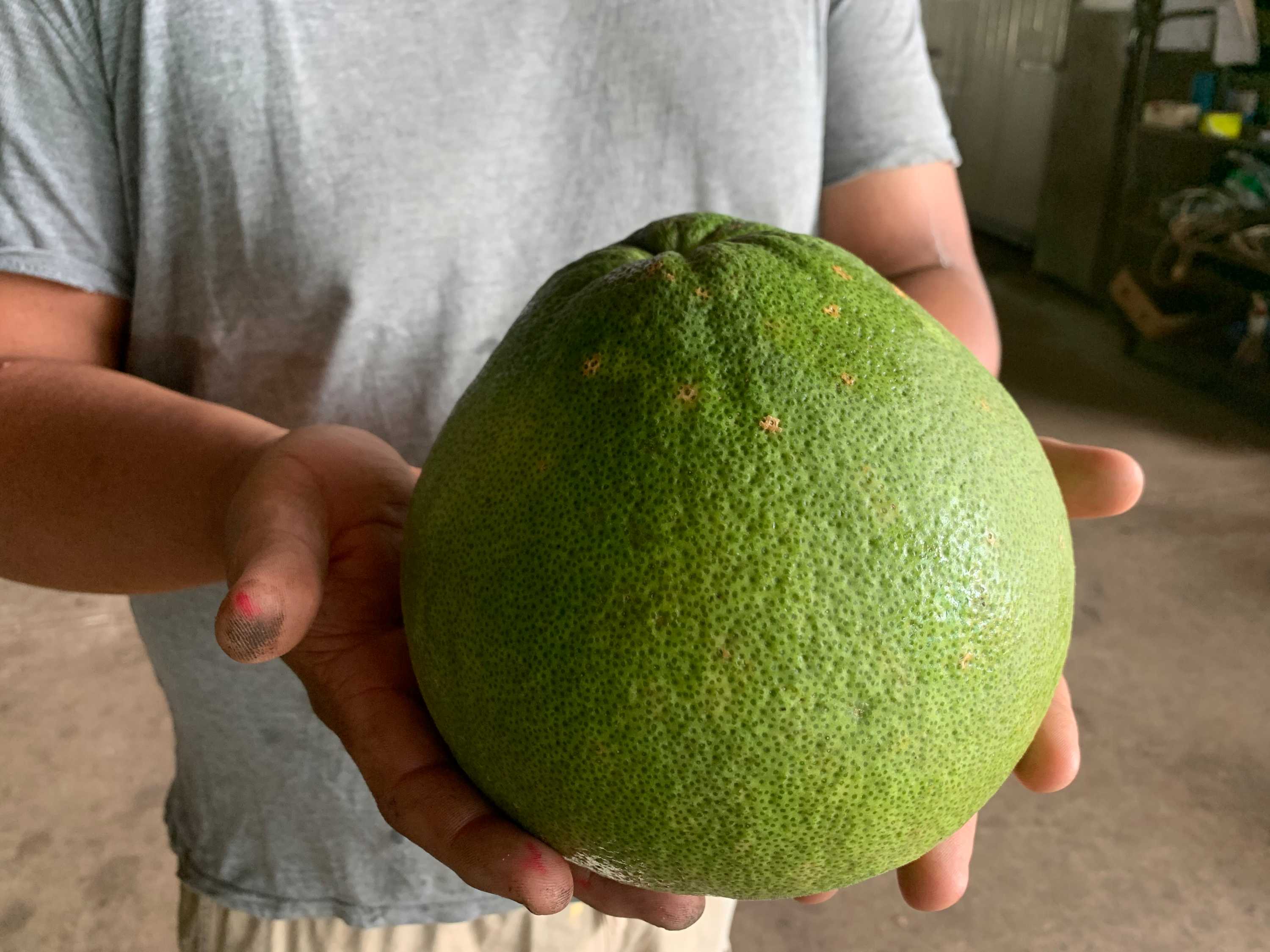 NT Country Hour - ABC Radio