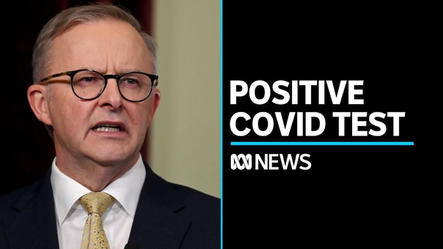 Anthony Albanese tests positive for COVID - ABC News Anthony Albanese tests positive for COVID - ABC News