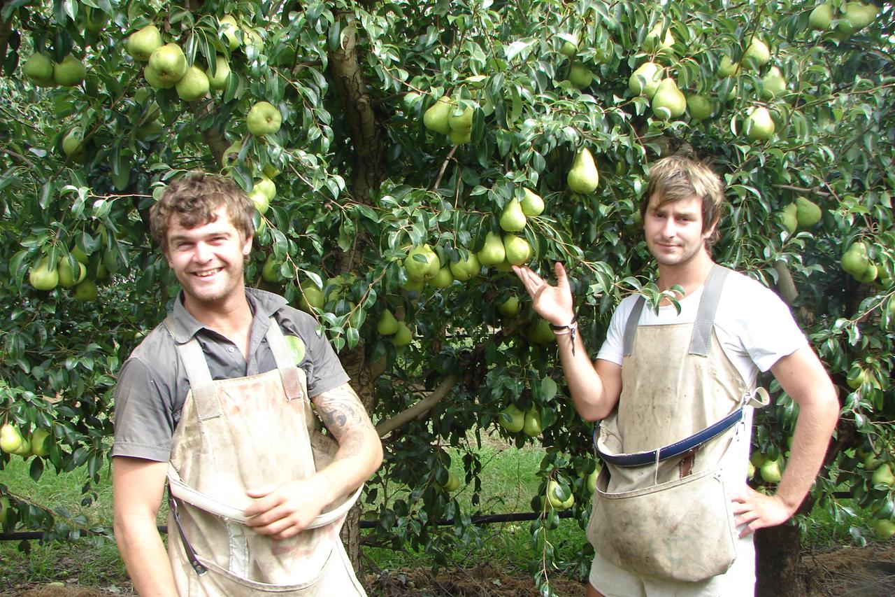 Election 2016: ABC's Country Hour to broadcast live from Shepparton ...