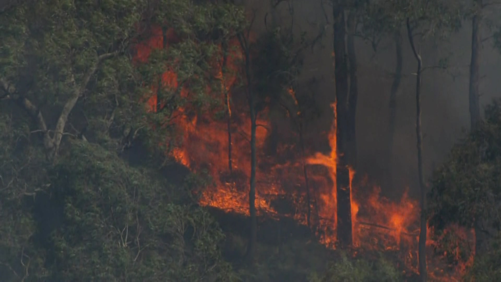 Fires in Victoria's west and near the Great Ocean Road still ...