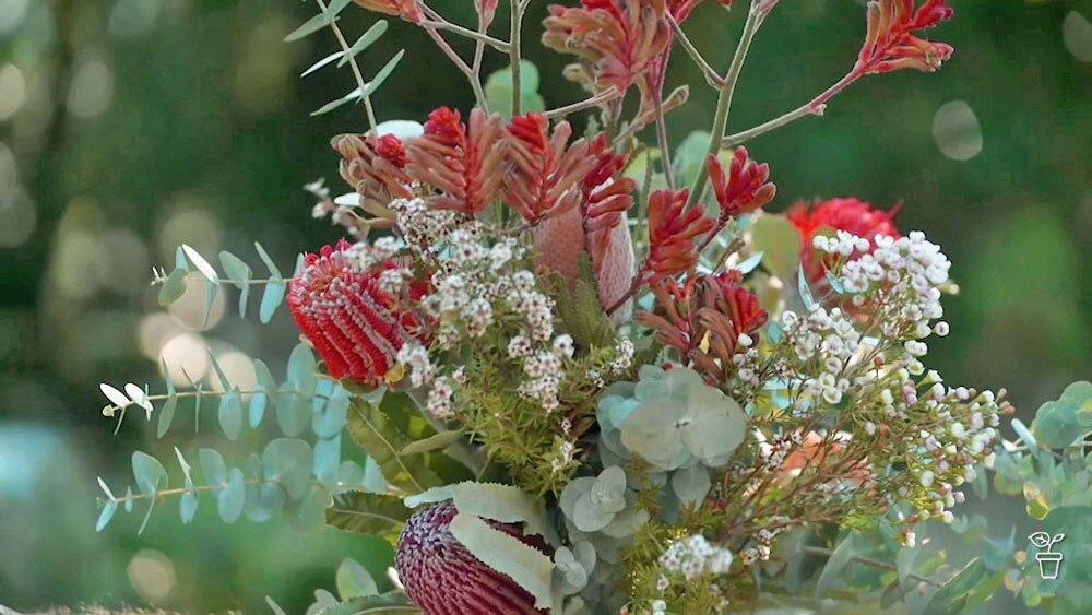 Cascading Design - Gardening Australia