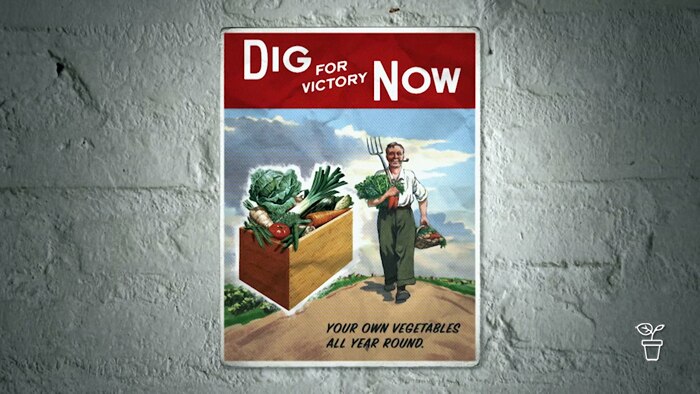 Dig for Victory - Gardening Australia