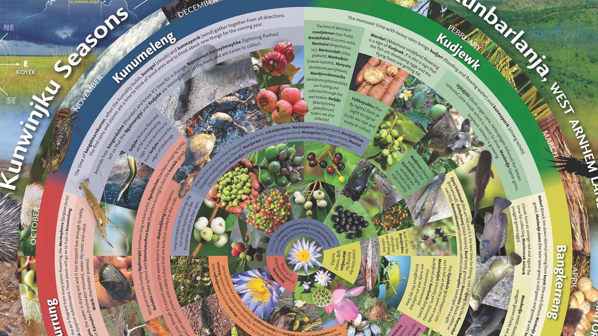 First Nations Seasons - Behind The News