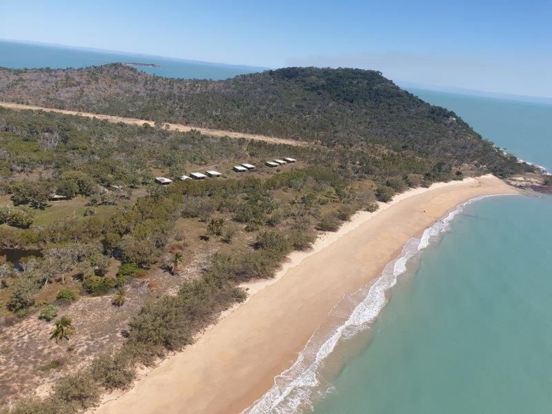 Feral deer eradicated from Wild Duck Island to protect threatened ...