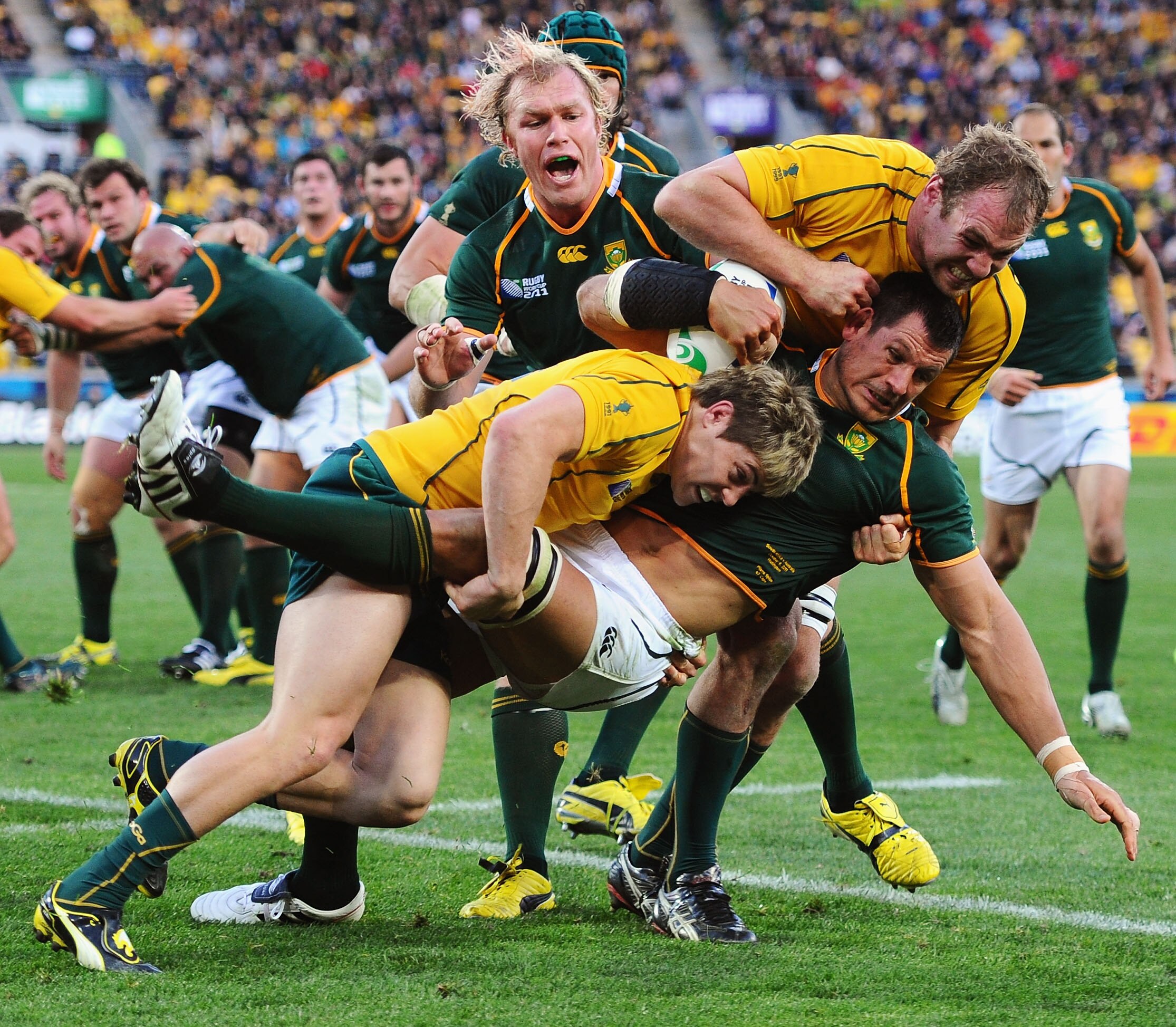 Wallabies hold off relentless Springboks - ABC News