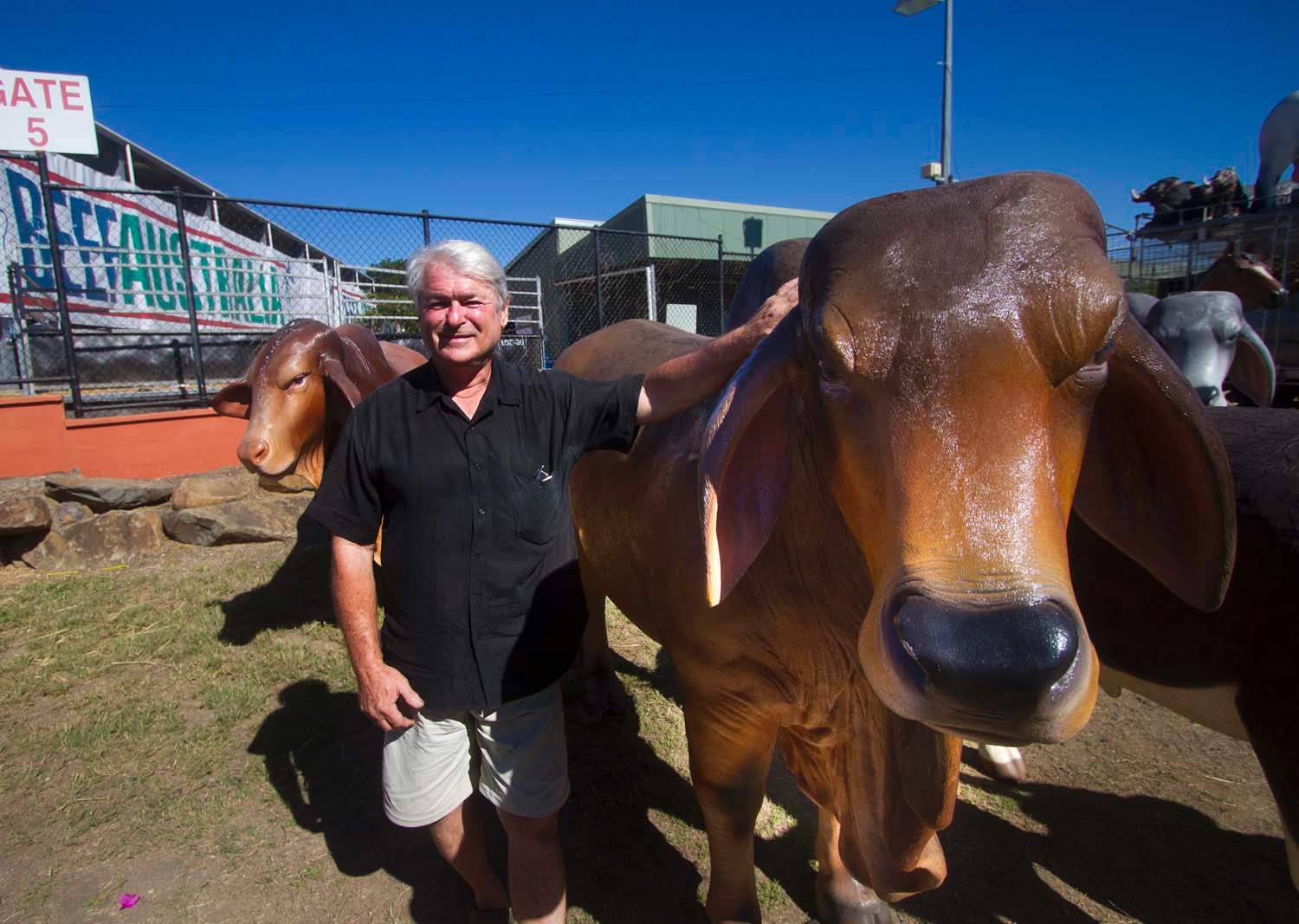 Beef Australia 2015: Sculpting the perfect bull - ABC News
