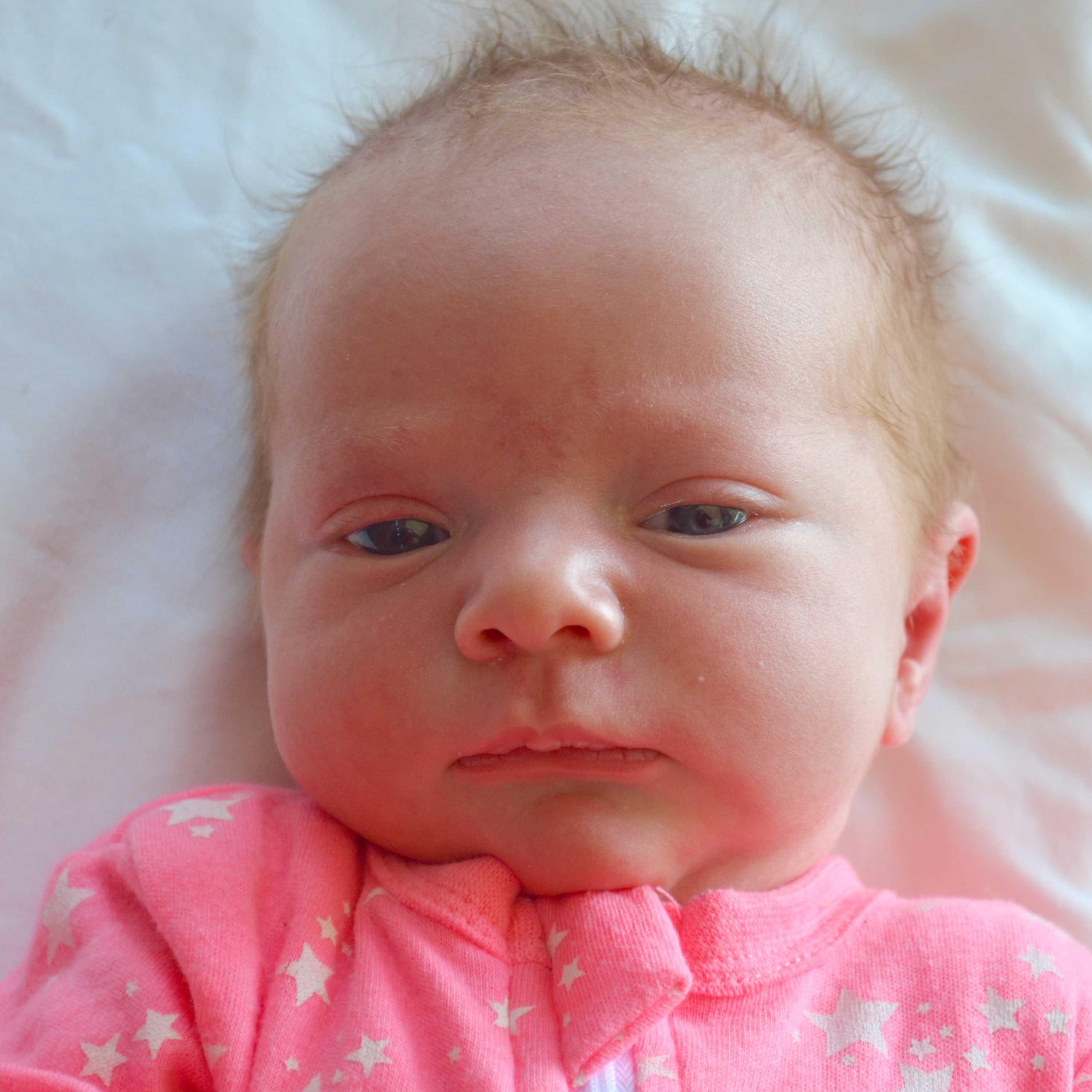 Indonesia not alone in its love for bureaucracy - ABC News