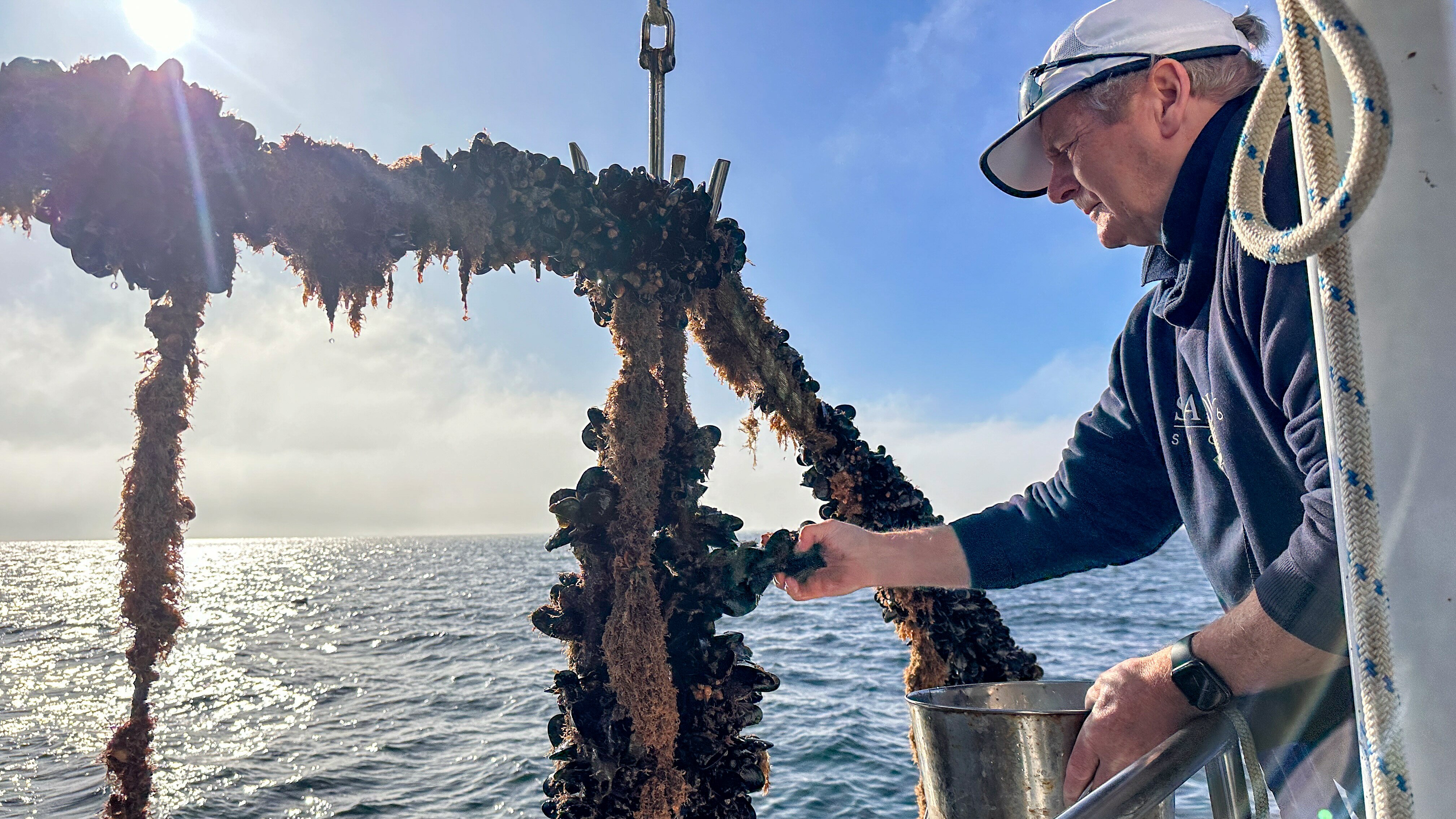 Melbourne mussel farmers use tourism to boost the shellfish's ...