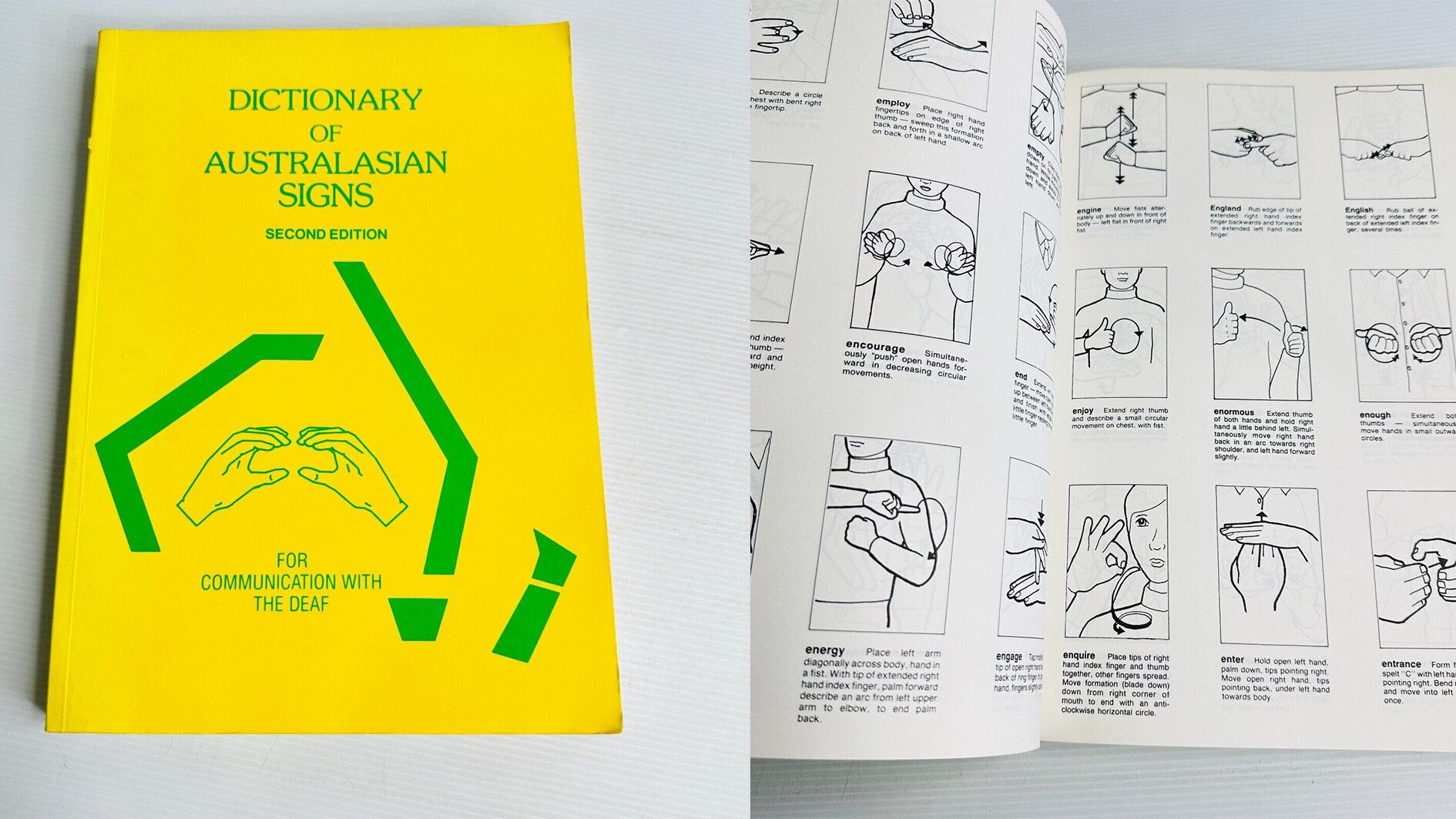 Everyone at my school learnt sign language so I could experience ...