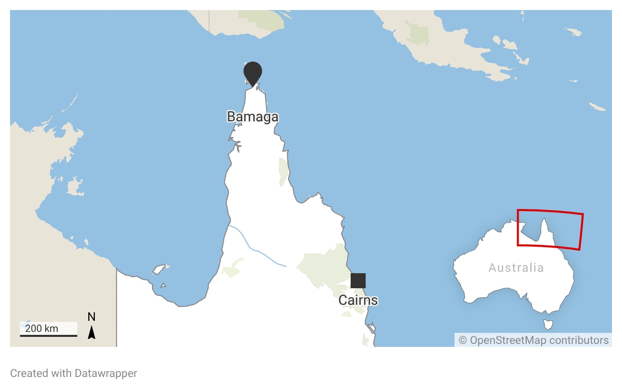 Invasive 'barbecue stopper' Asian tiger mosquito detected away from ...