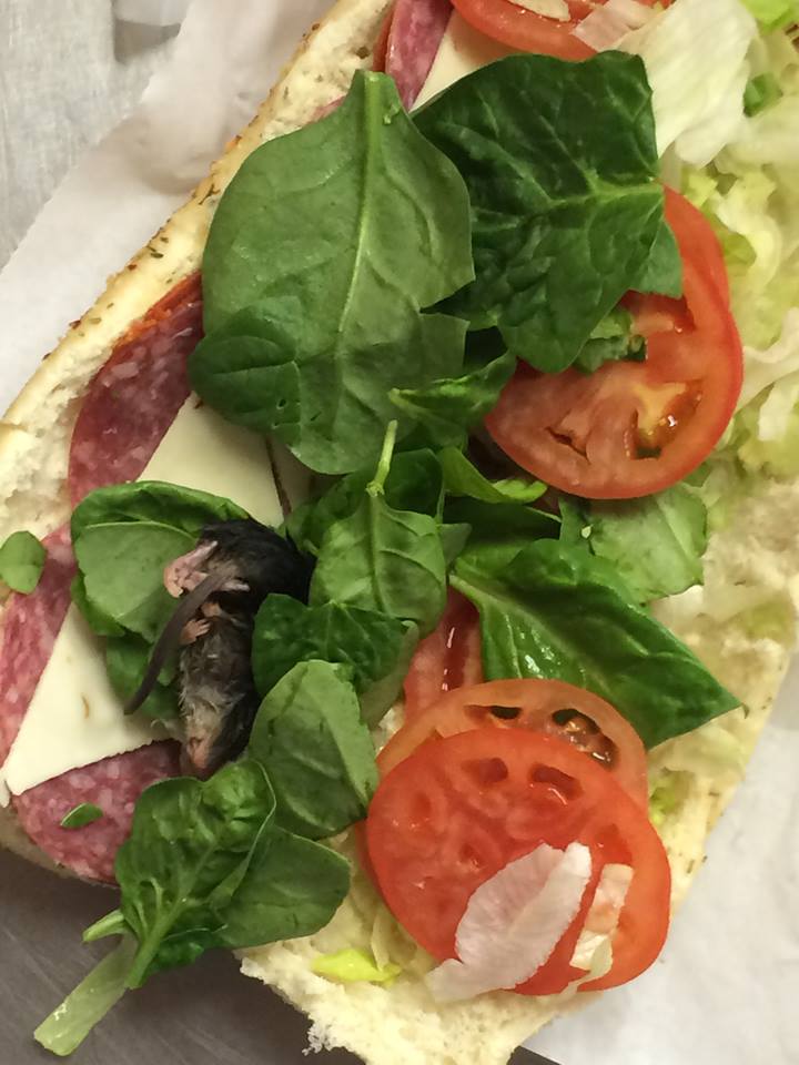 Dead rat discovered in Subway sandwich in Oregon restaurant - ABC News