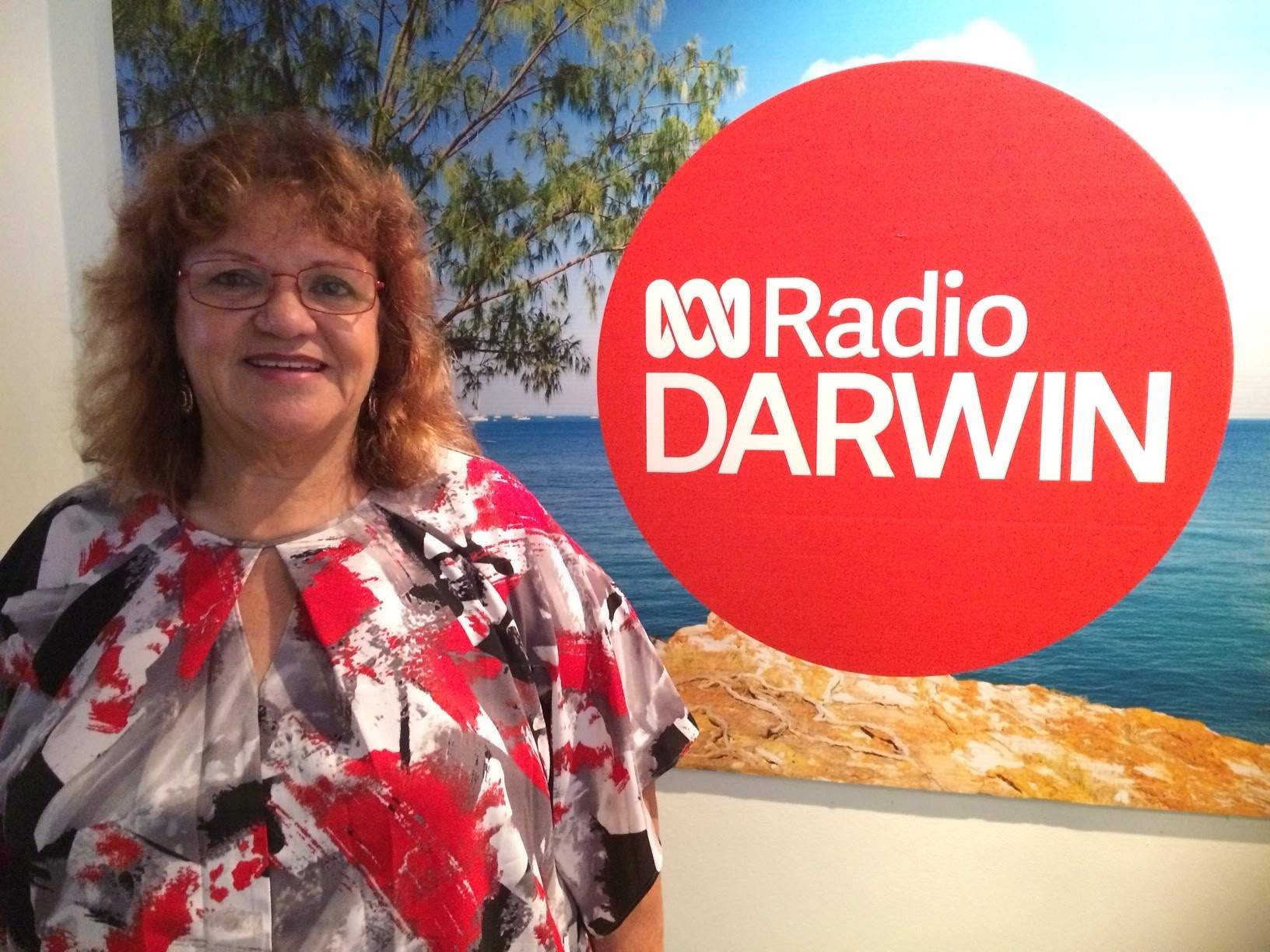 35,000 people in the NT speak an Indigenous language at home - ABC Darwin