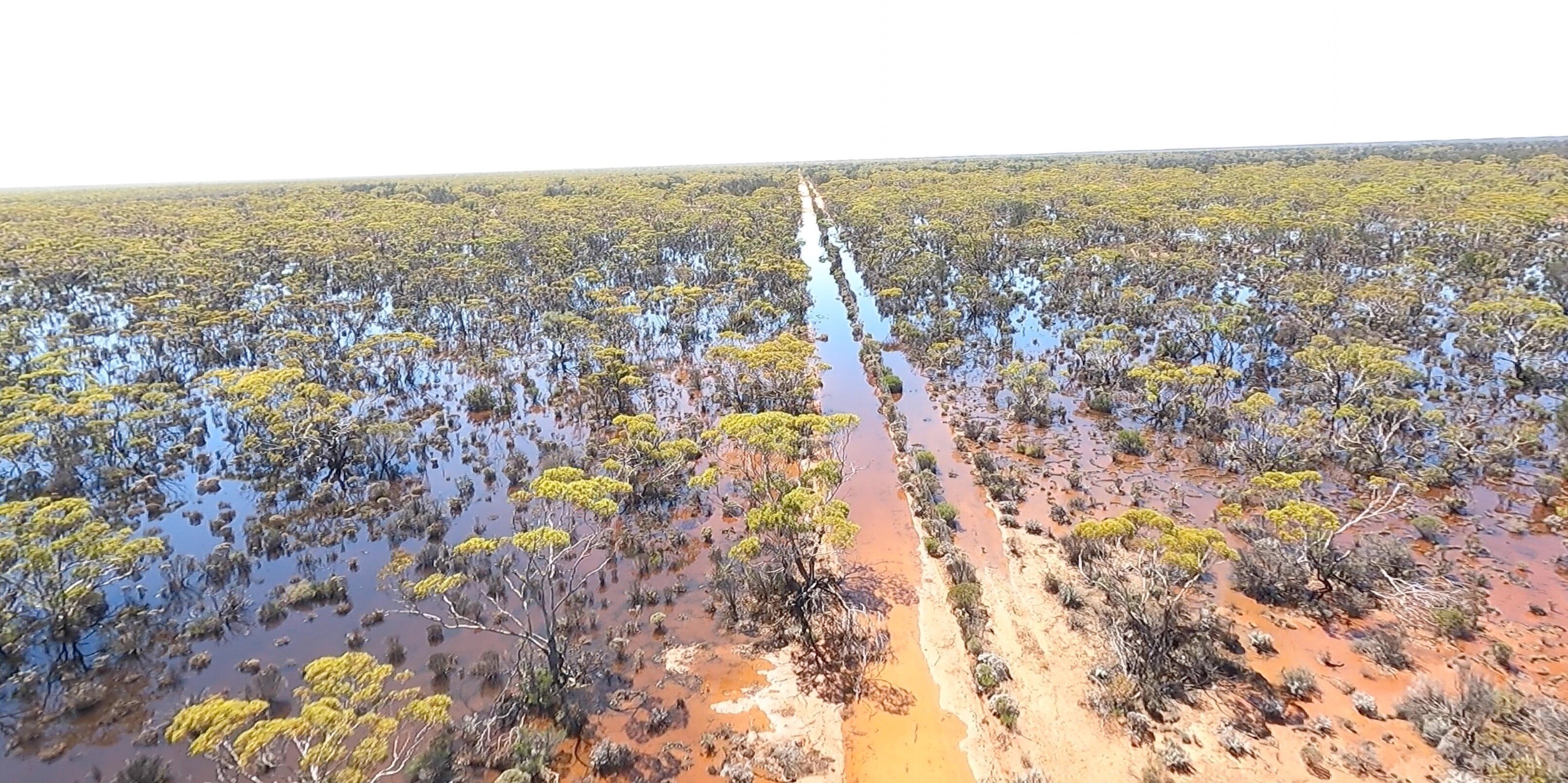 Eight travellers rescued after being found stranded in outback WA - ABC ...