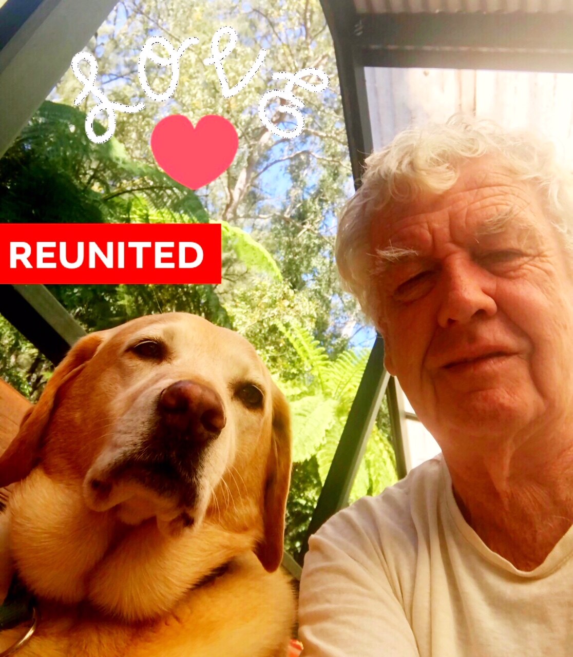 Social media saves lost dog Snookie - ABC listen