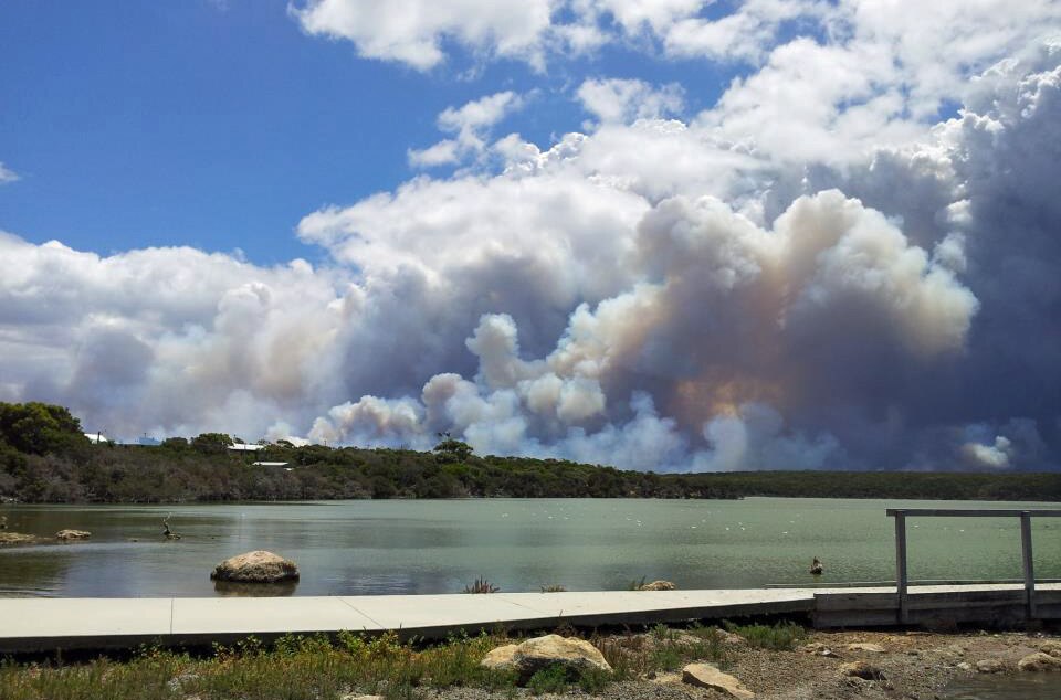 Residents encouraged to leave as bushfire looms - ABC News