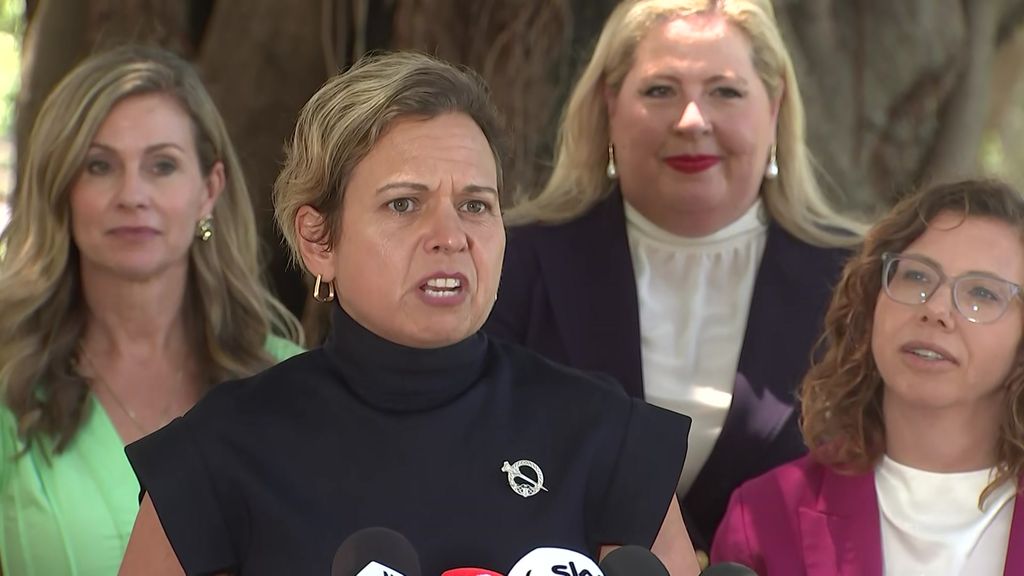 'The onus should not be placed on victims': Michelle Rowland to improve ...