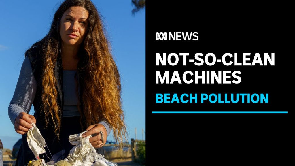 Many popular Australian beaches use mechanical cleaning — is it making ...