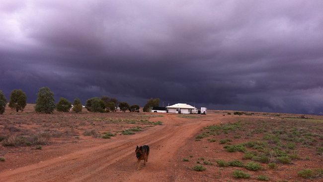 Santa brings rain to outback Australia - ABC News