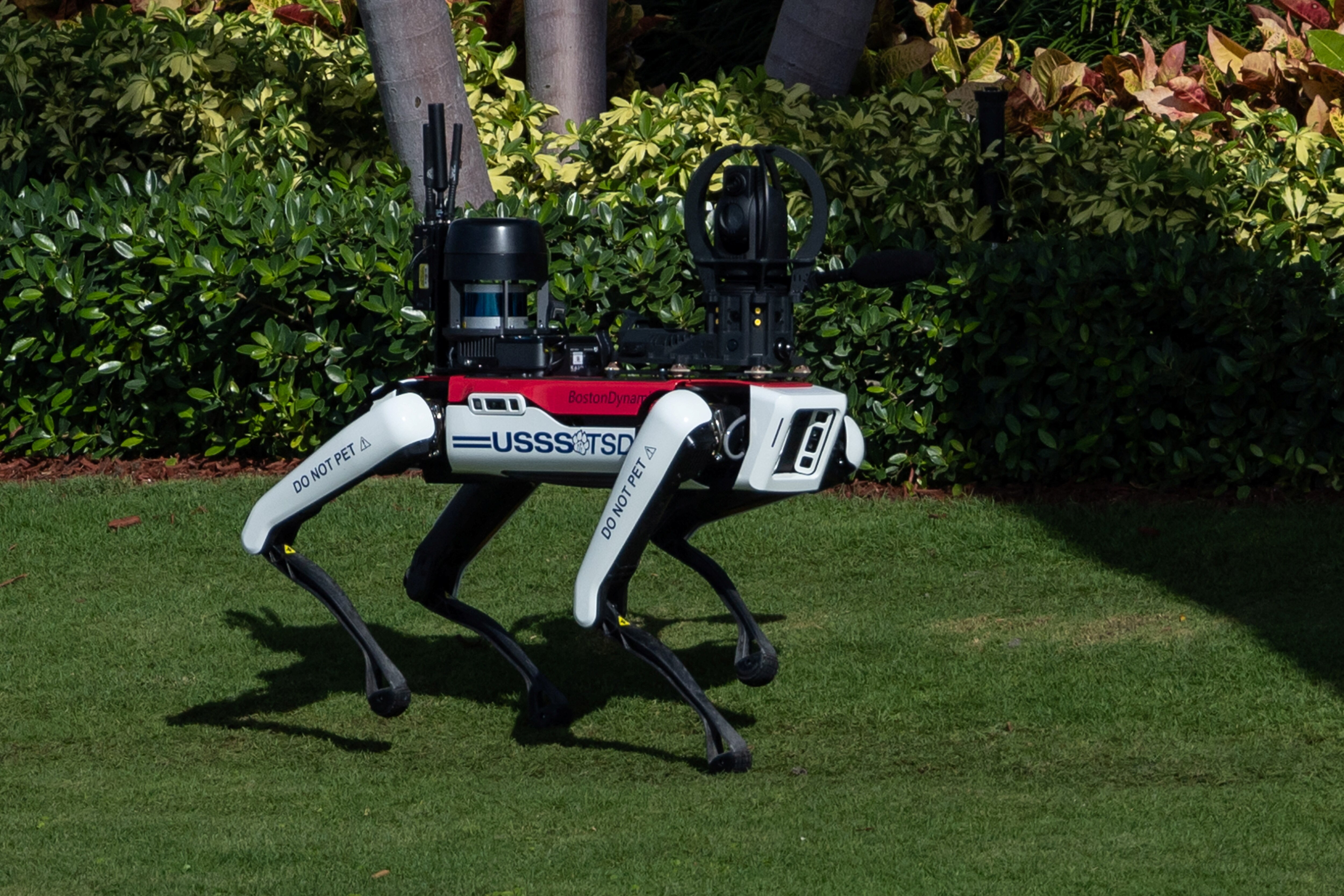 All you need to know about the robot dogs patrolling Donald Trump's Mar ...