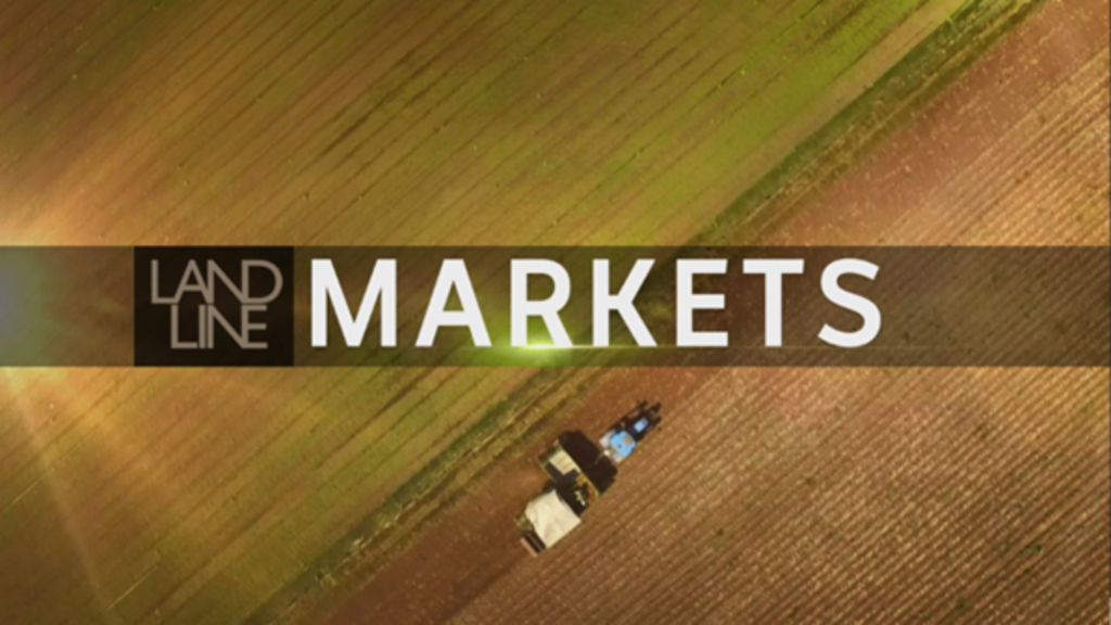 ABC Rural - ABC News