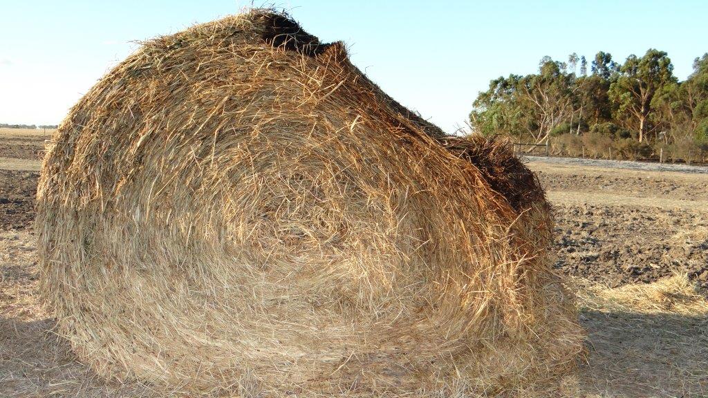 $18,000 hay bale blaze prompts warning from farmer about stacking ...