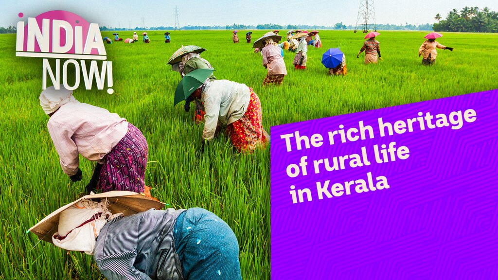 The rich heritage of rural life in Kerala - ABC News