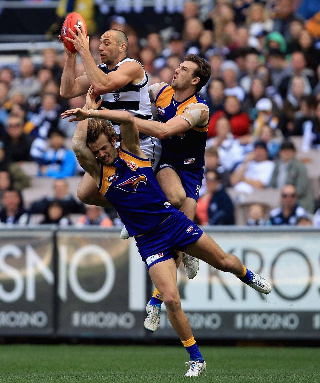 Glass tips Cats for AFL premiers - ABC News