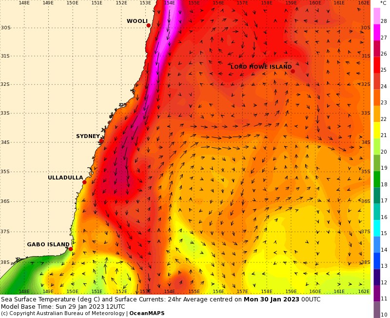 NSW sweats in unbearable humidity, warmest nights in years — and there ...